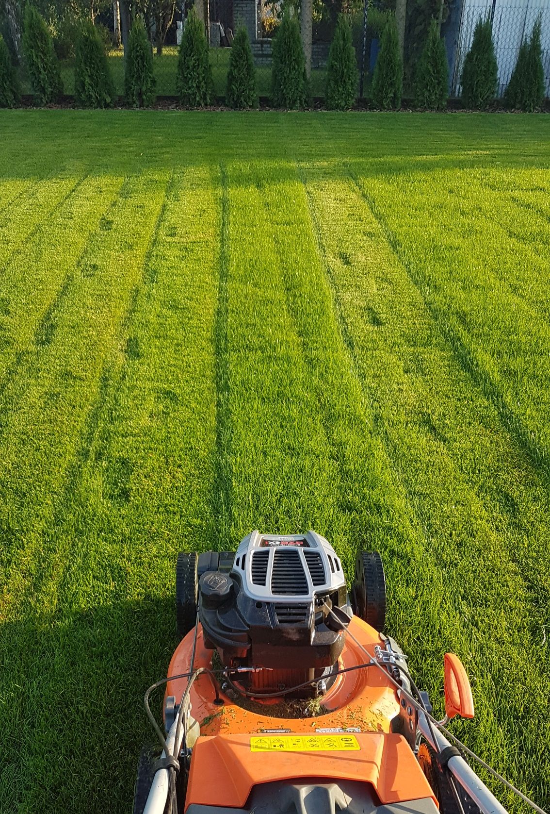 Pielęgnacja i zakladanie ogrodów wertykulacja aeracja piaskowanie Toruń ... Pielęgnacja i zakladanie ogrodów wertykulacja aeracja piaskowanie Toruń ...
