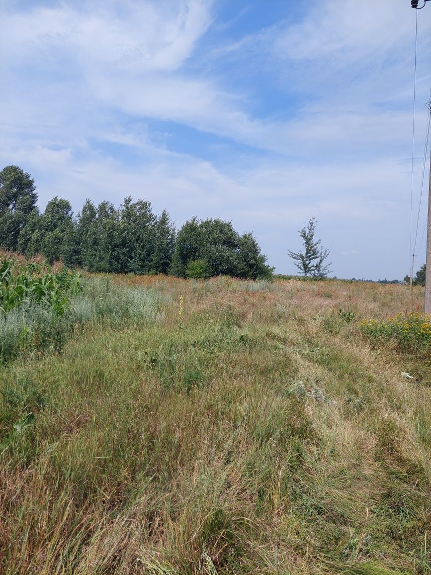 Земля сільськогосподарського призначення: 200 $ - Продаж землі Бабинці ...