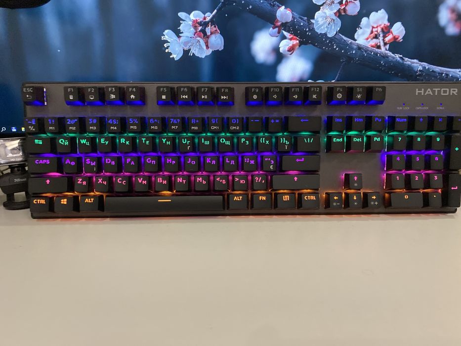 Клавиатура Hator Starfall: 800 грн. - Периферійні пристрої Ніжин на Olx