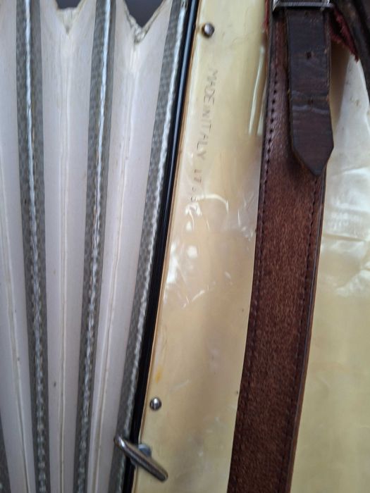 Scandali akordeon Brzozowica Duża • OLX.pl