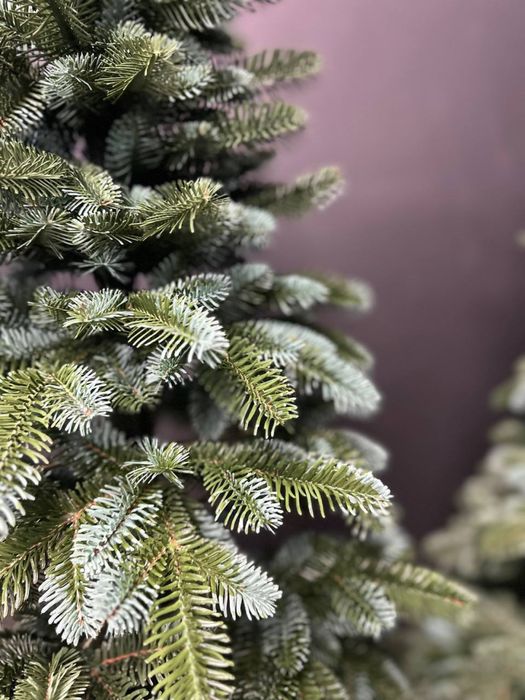 Ялинка канадська 1 850 грн Інші товари для дому Ковель на Olx