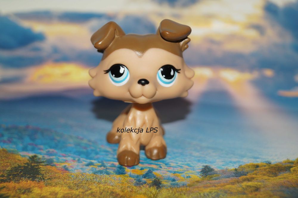 LPS Littlest Pet Shop collie #893 #853 oryginalny oryginał UNIKAT POP ...