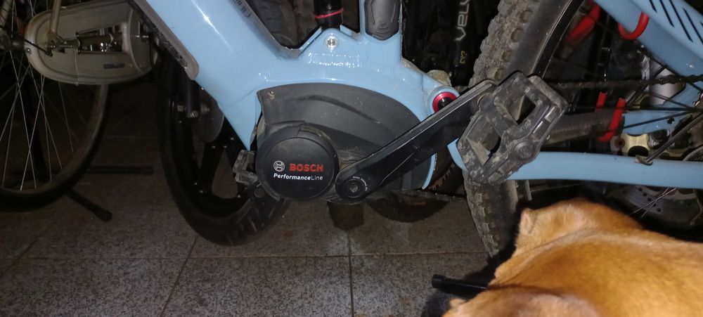 E-bike como nova Oliveira do Bairro • OLX Portugal