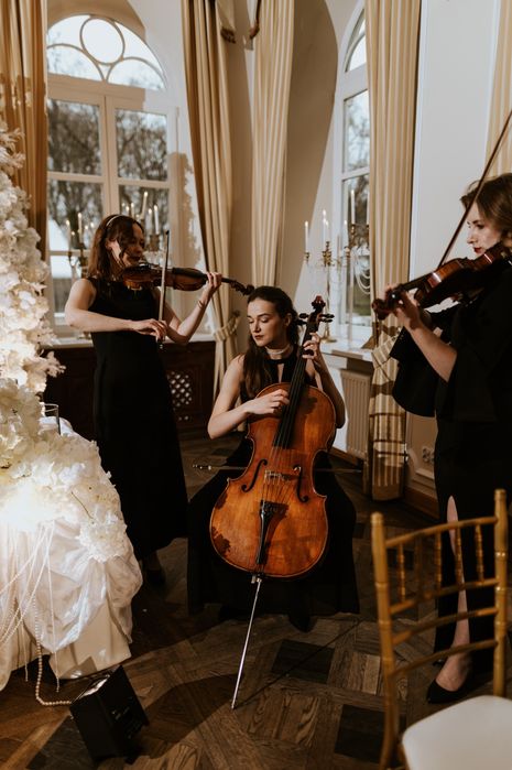 Skrzypce na ślub, event, pogrzeb Wiolonczela Warszawa Bielany • OLX.pl