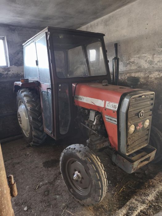 Ciągnik MF255, zarejestrowany, w oryginale Radzyń Podlaski • OLX.pl