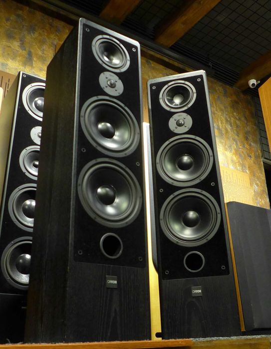 Canton Ergo SC-L, Hi-Ehd!! від 18 Hz горіх\чорні + control unit: 26 000 ...