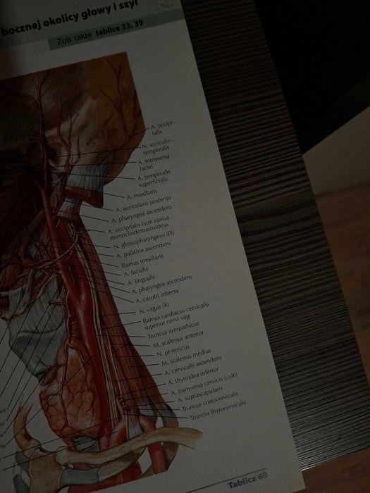 Atlas Anatomii Człowieka - F.H. Netter Łęczyca • OLX.pl