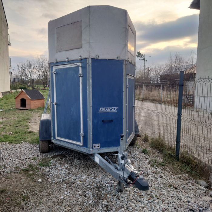 Böckmann na 2 konie z dokumentami DCM 2000 Nowy Targ • OLX.pl