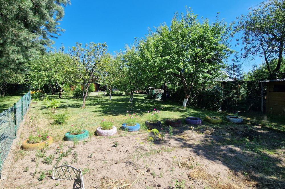 Działka ROD Dojlidy Białystok Kawaleryjskie • OLX.pl