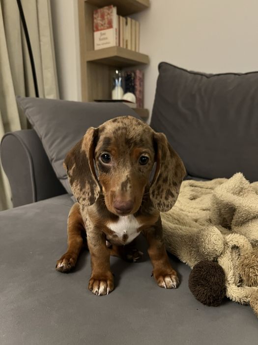 Dla Ciebie wszystko - sprawdź nowe oferty!