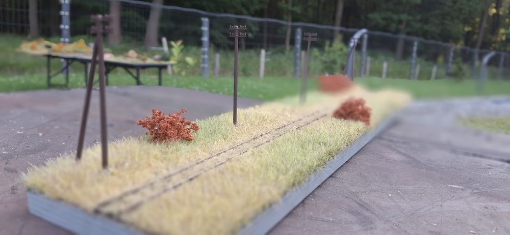 Diorama makieta h0e pkp piko roco Wilcza • OLX.pl